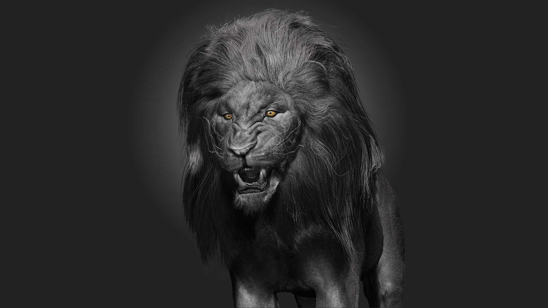 ArtStation - Lion Study