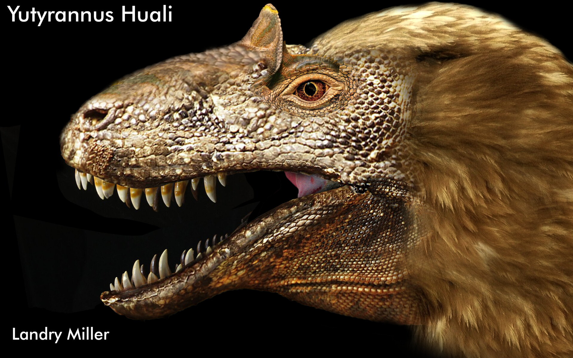 ArtStation - Yutyrannus huali