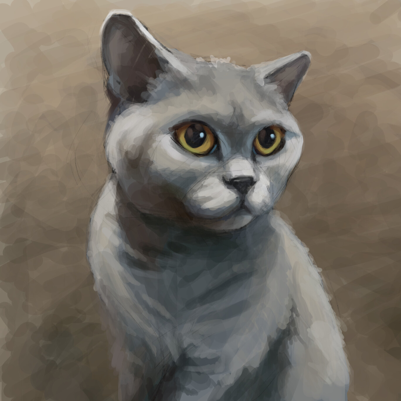ArtStation - cat