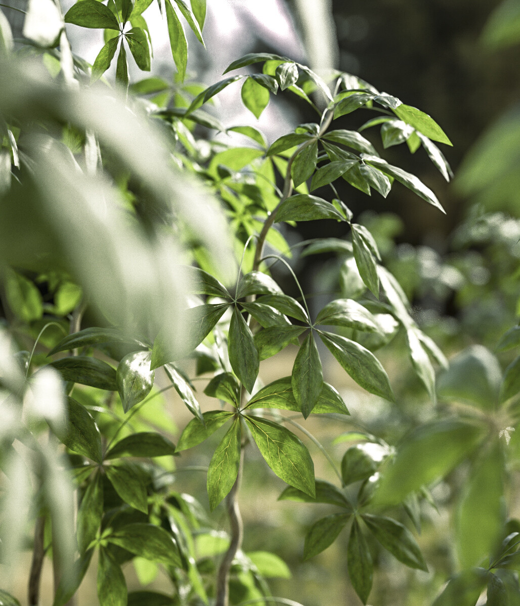 ArtStation - Plant shader test