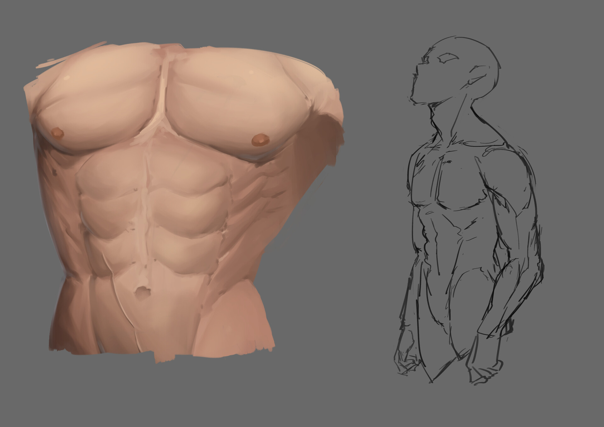 ArtStation - Torso