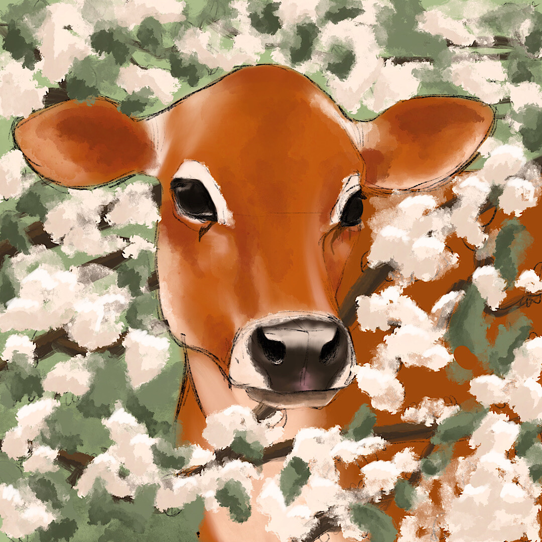ArtStation - Another cow drawing