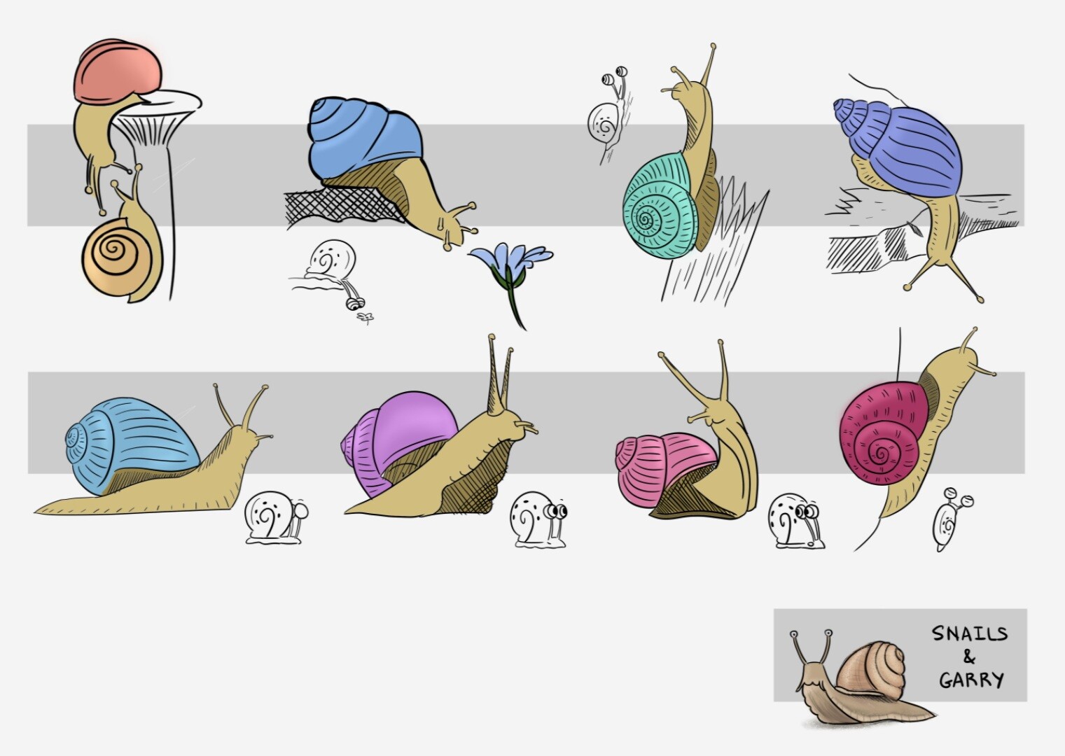 ArtStation - Snail Study
