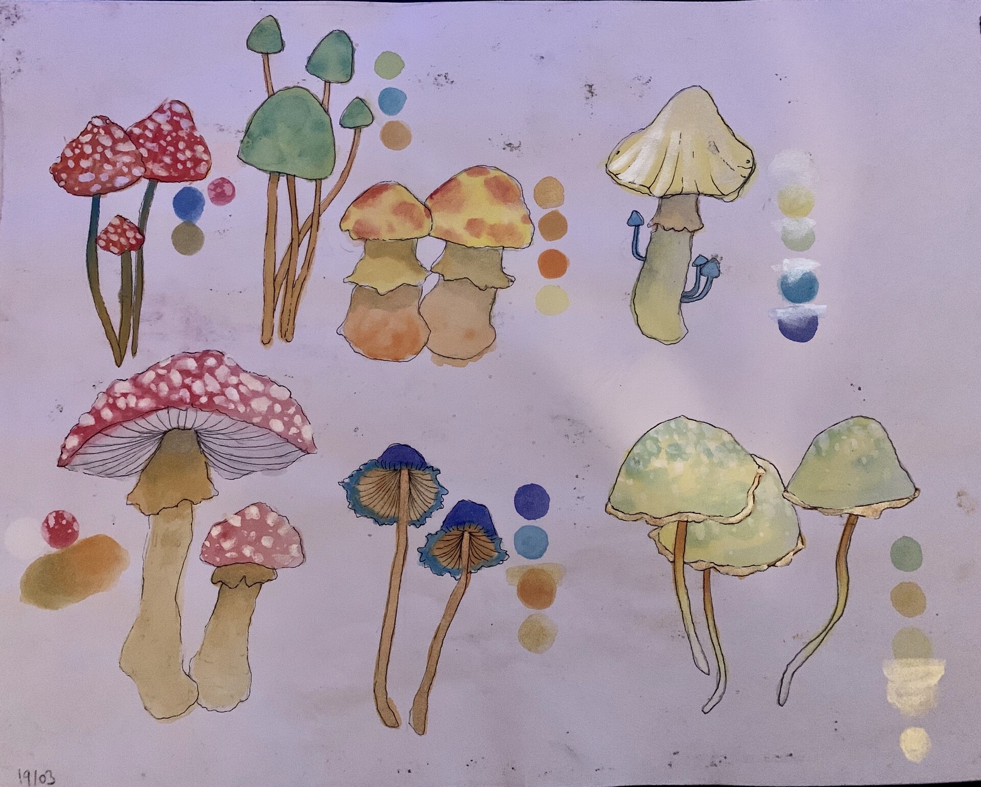 ArtStation - „Shrooms“ - Original