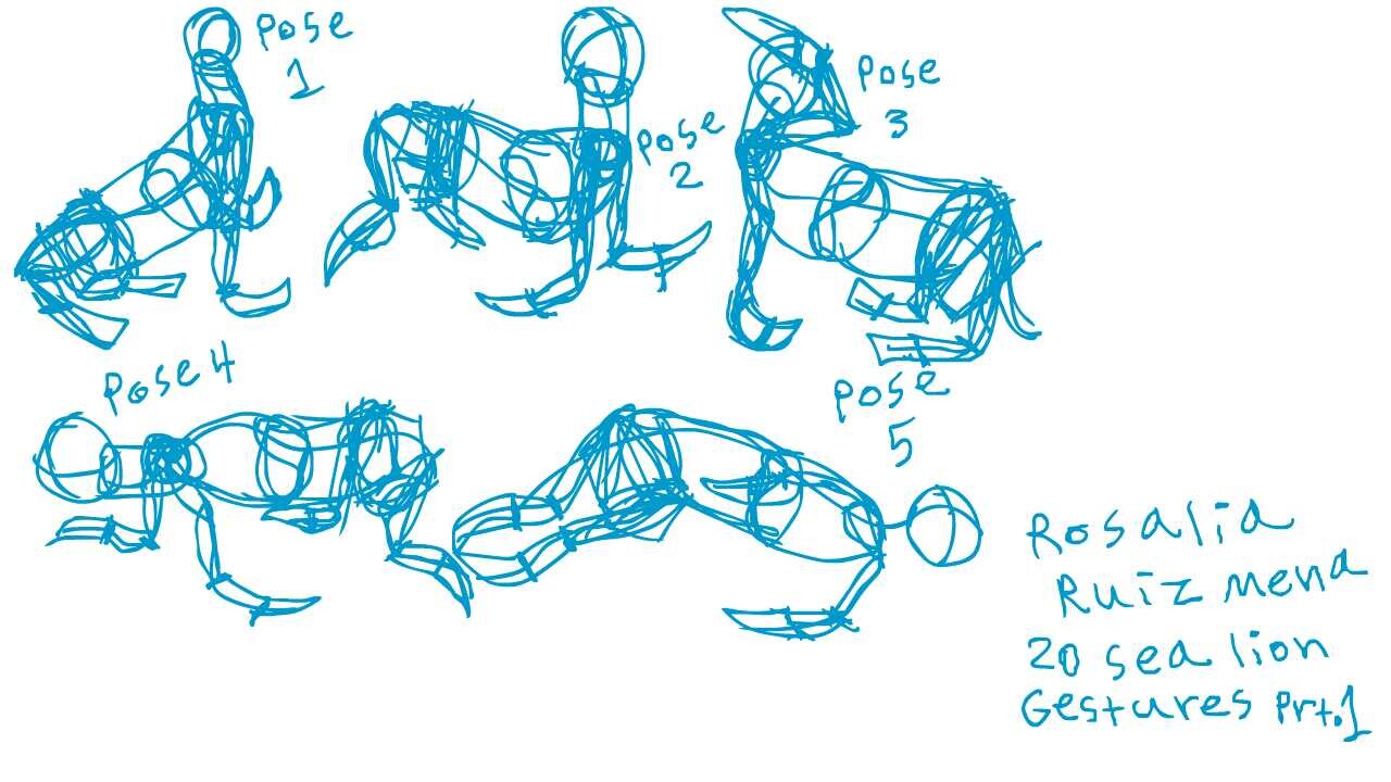 ArtStation - Sea Lion Anatomy Studies (1-10)