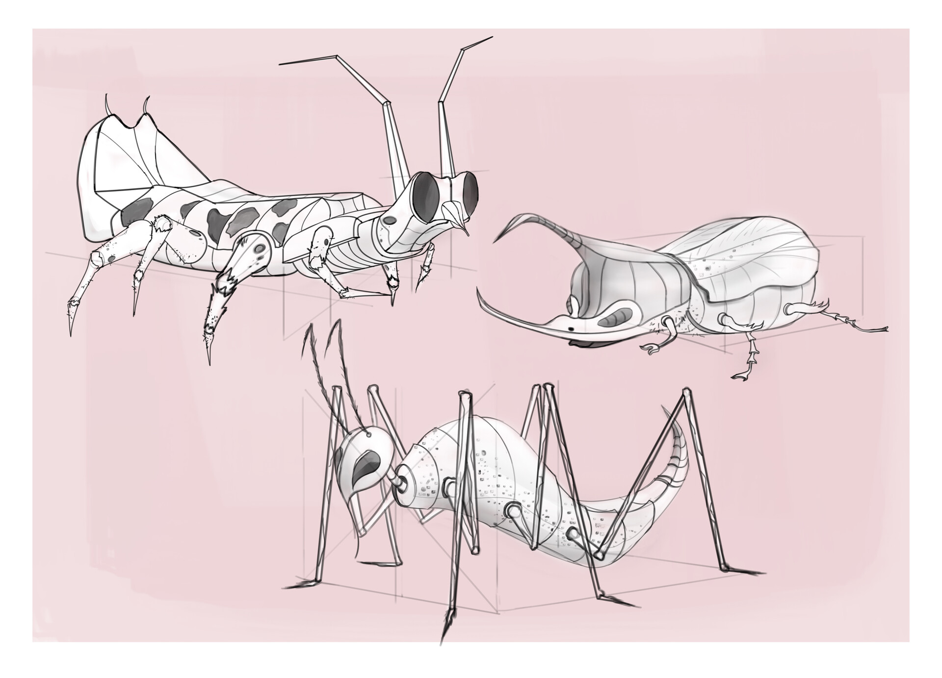 ArtStation - bugs study