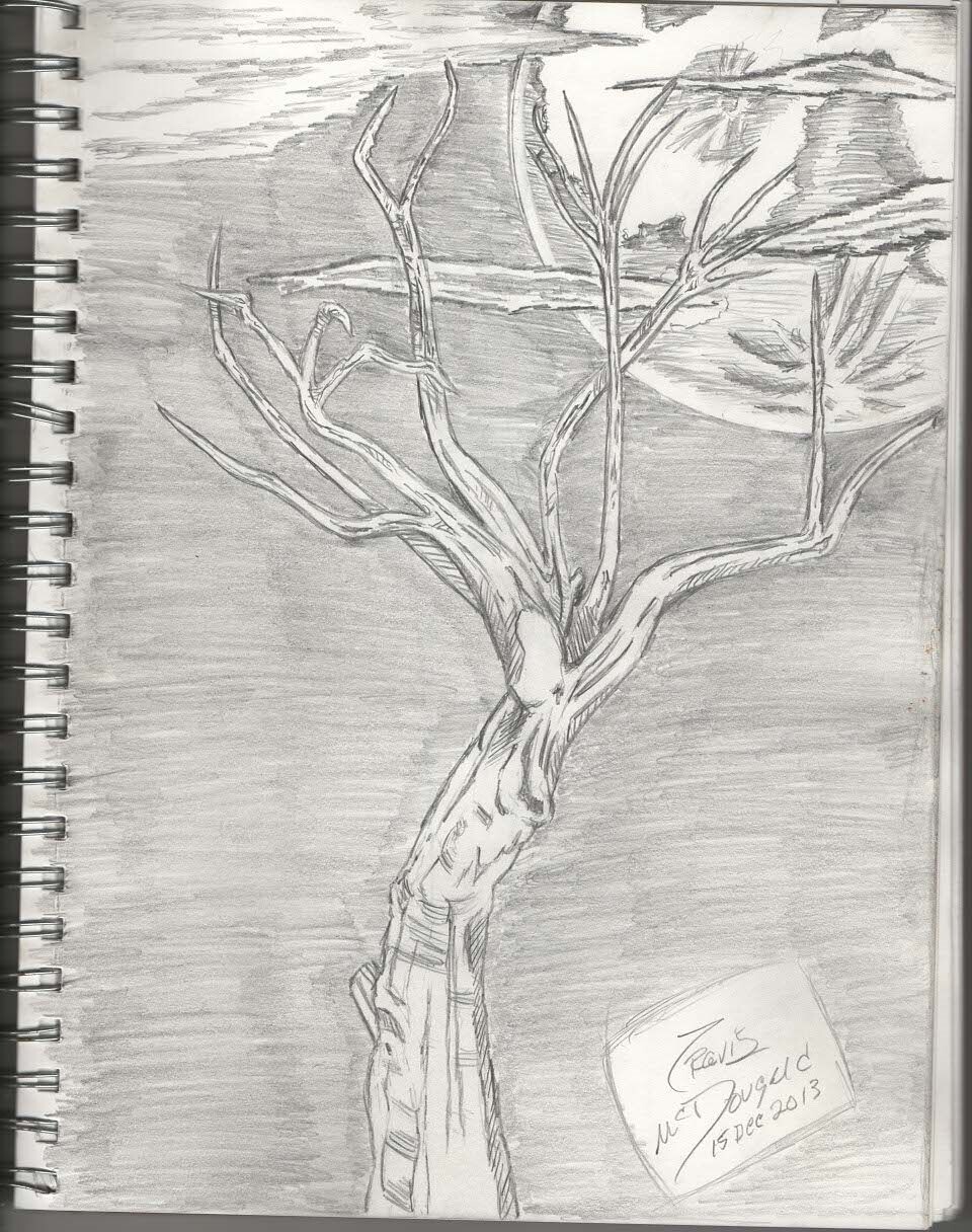 ArtStation - Tree Drawing