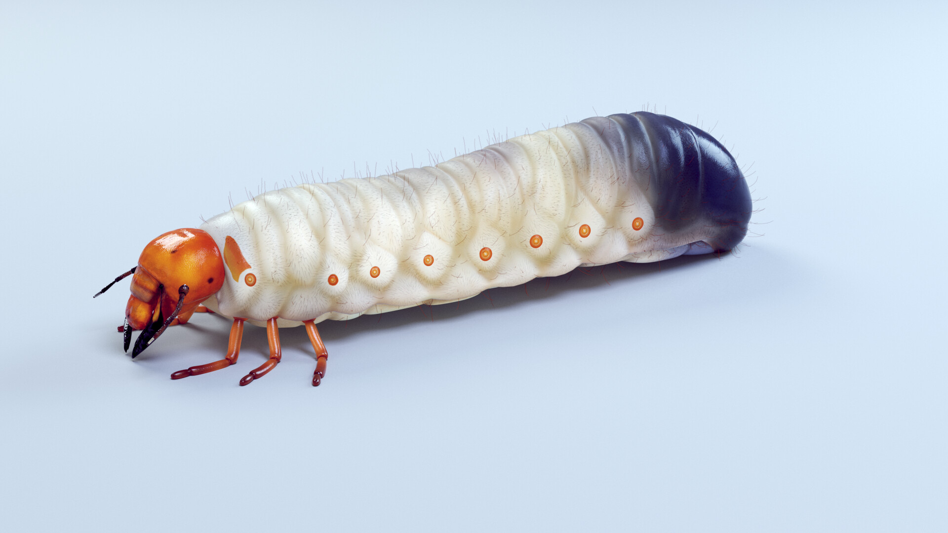 ArtStation - Grub Creature for Commercial