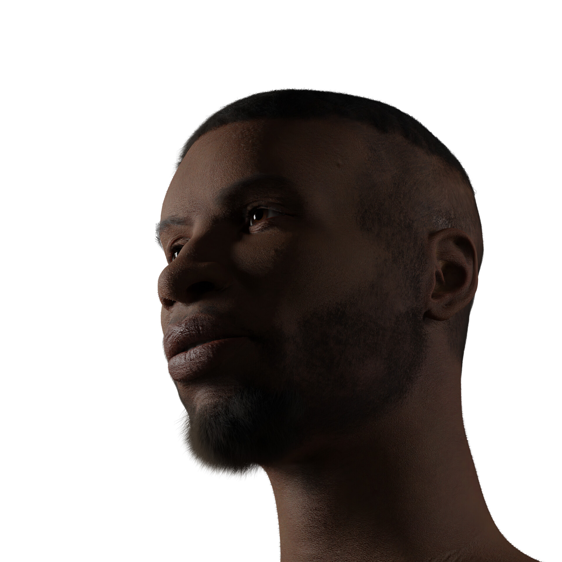 ArtStation - Male Human Portrait