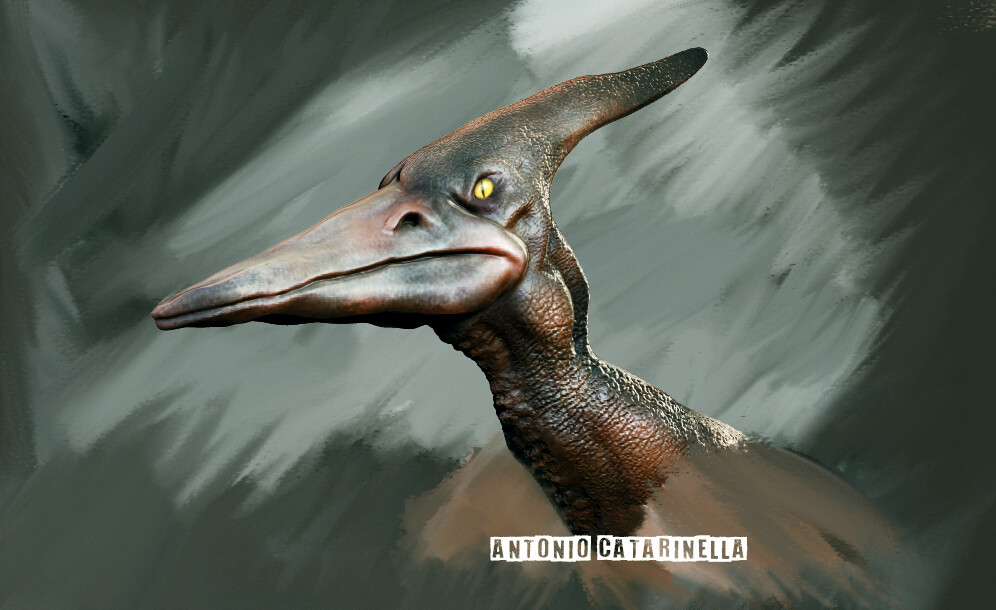 ArtStation - Pteranodon