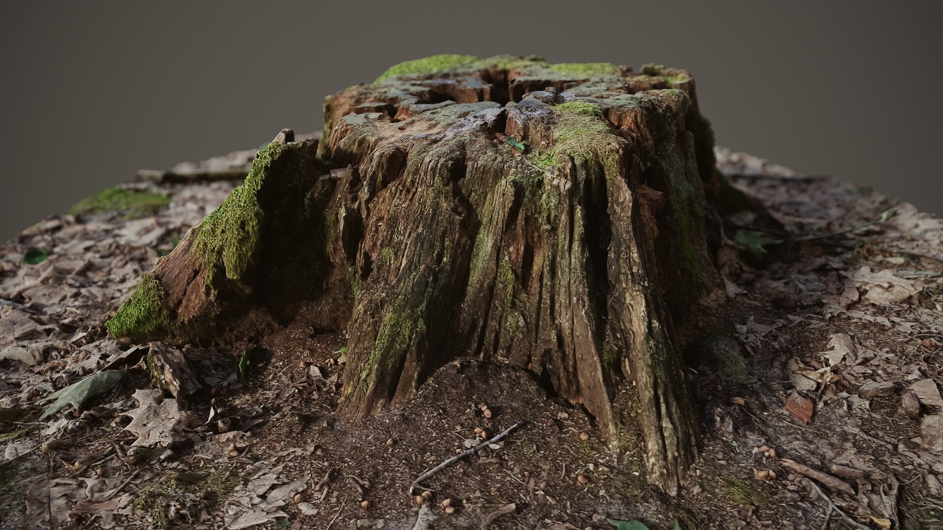ArtStation - Tree Stump