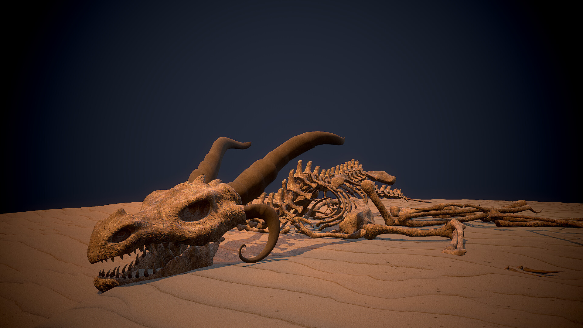 Real Dragon Skeleton