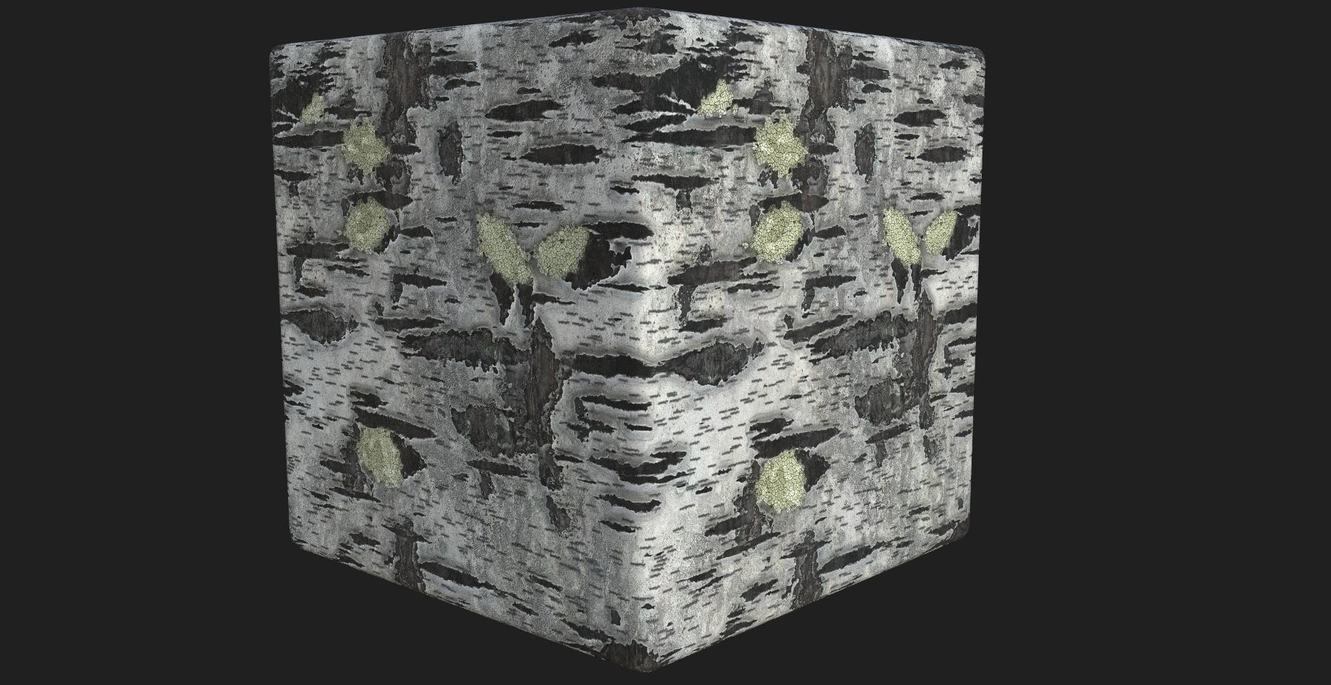 ArtStation - Birch Tree texture