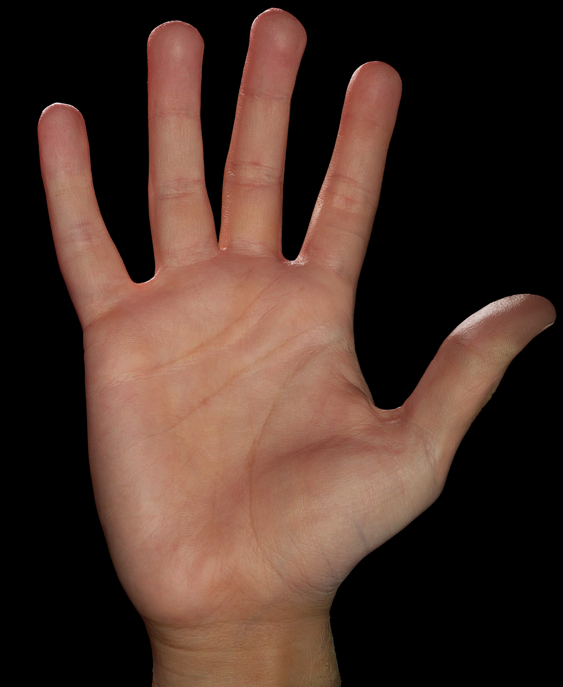 ArtStation - Realistic Hand