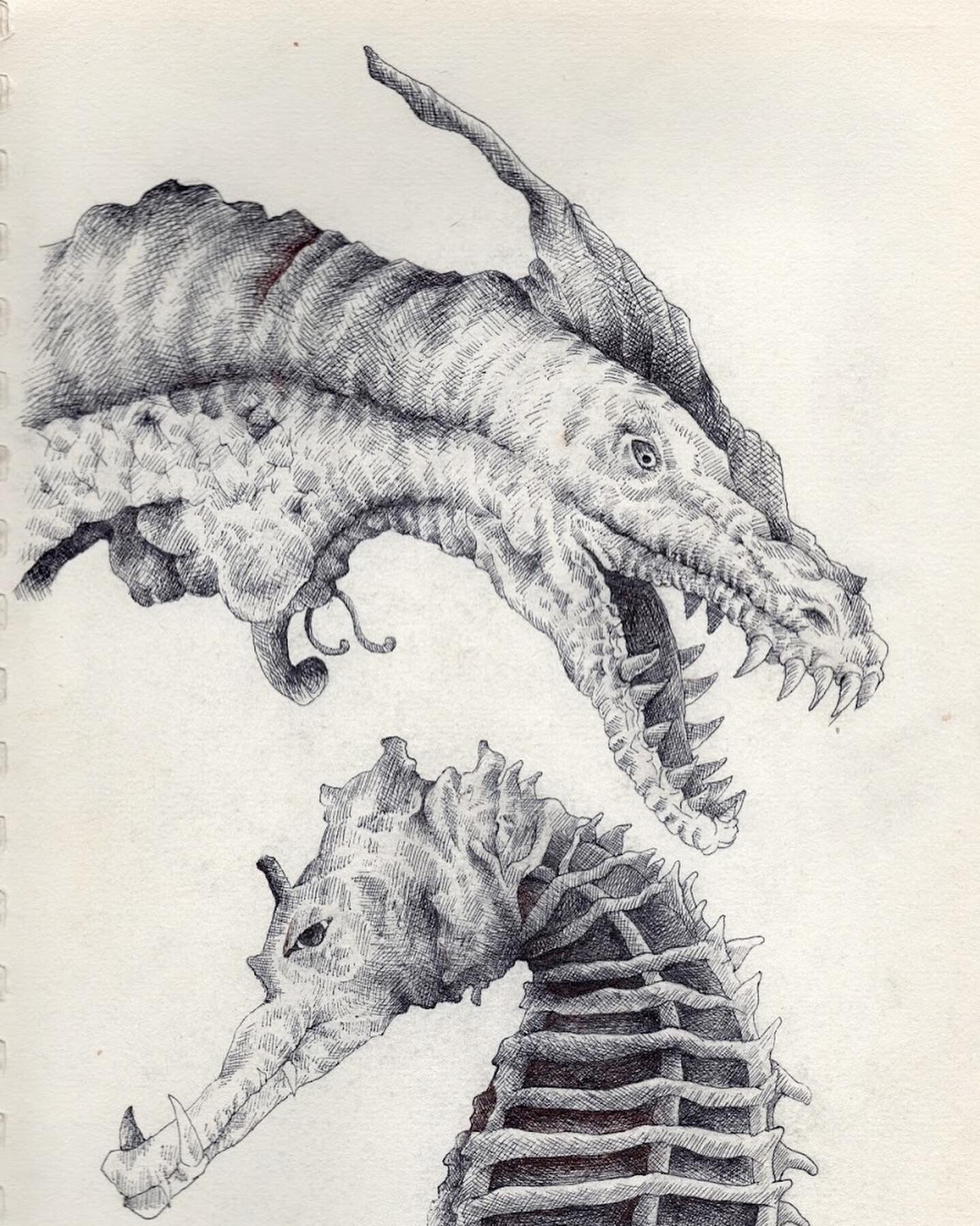 ArtStation - Dragon Studies