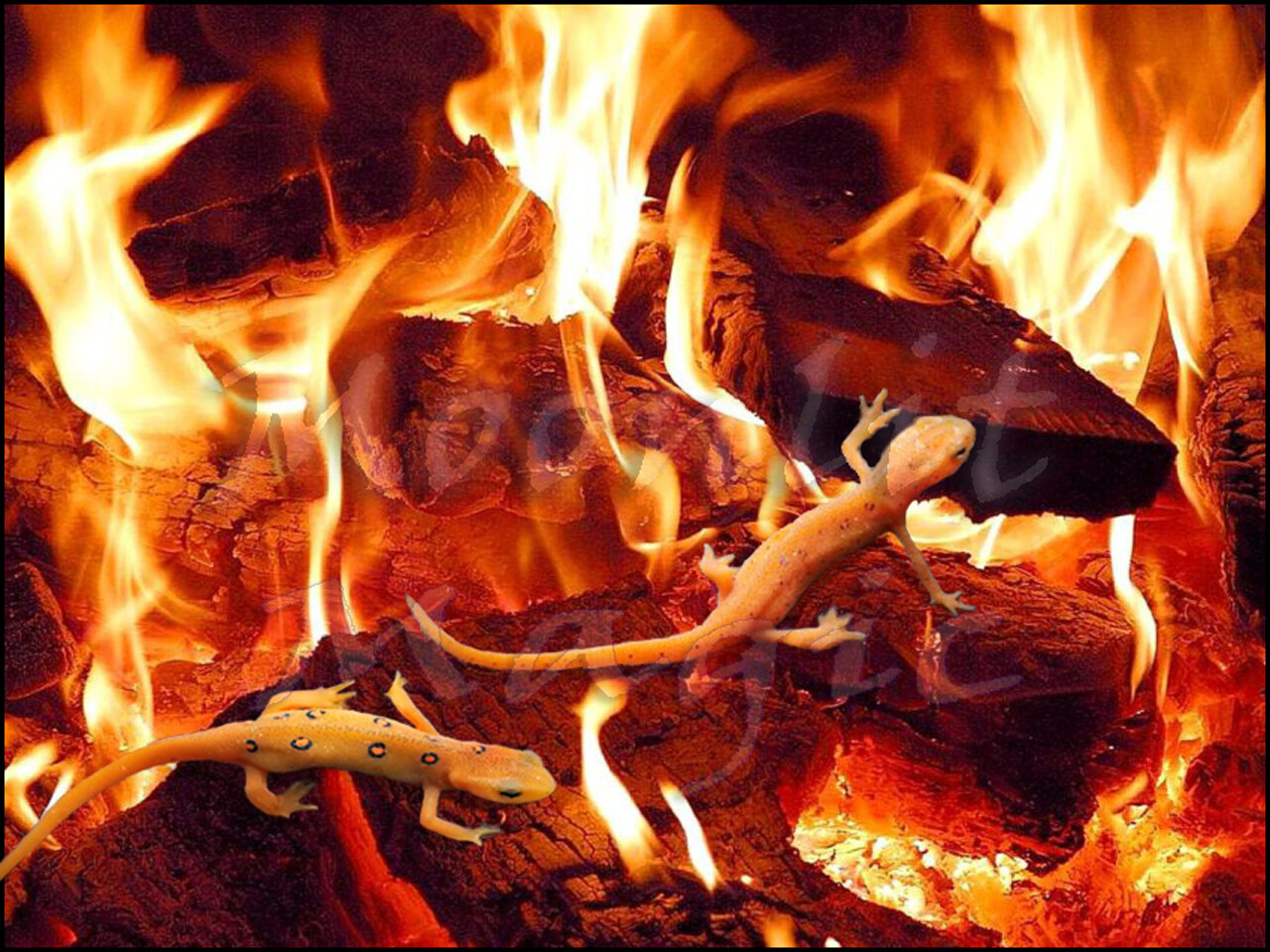 ArtStation - Fire Starters