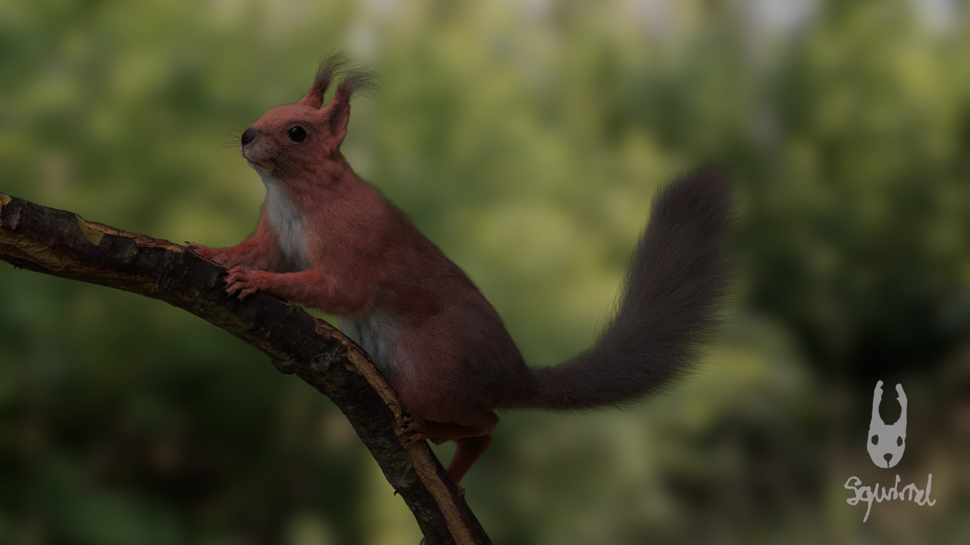 ArtStation - Squirrel
