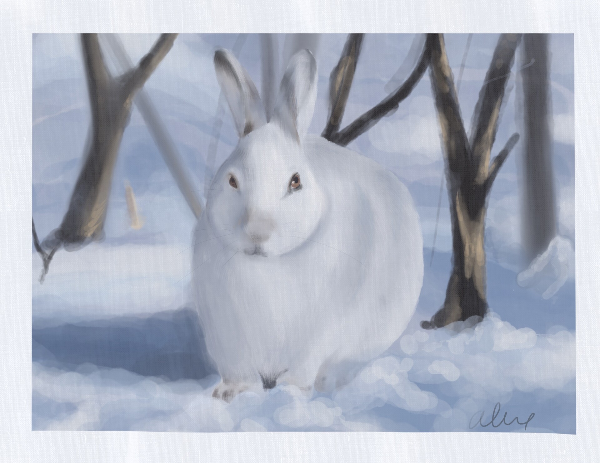 ArtStation - Snowshoe Hare