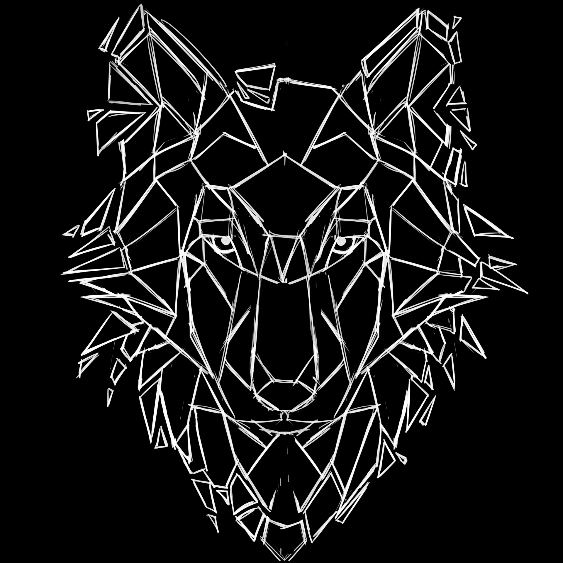 silver wolf drawing