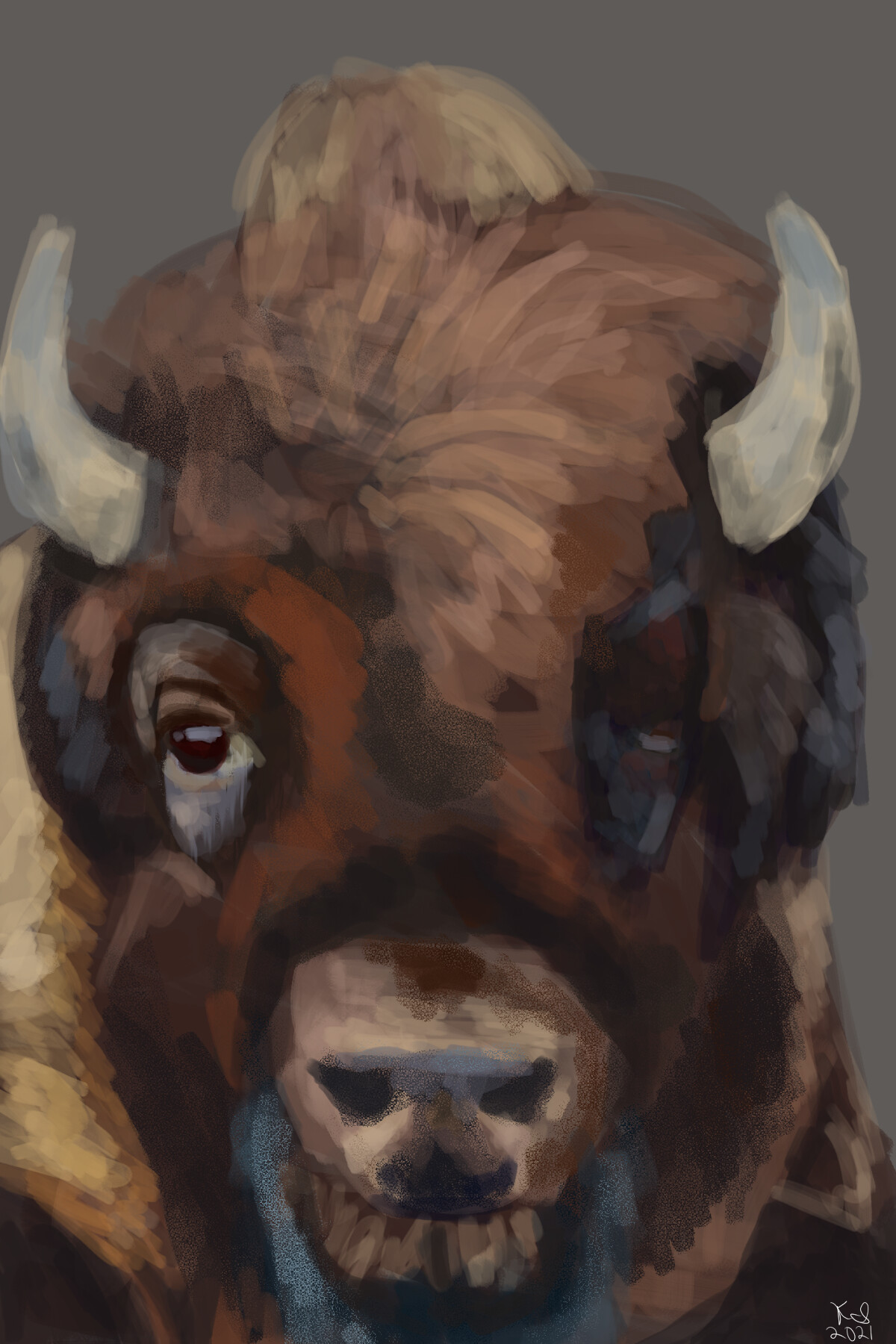 ArtStation - Buffalo