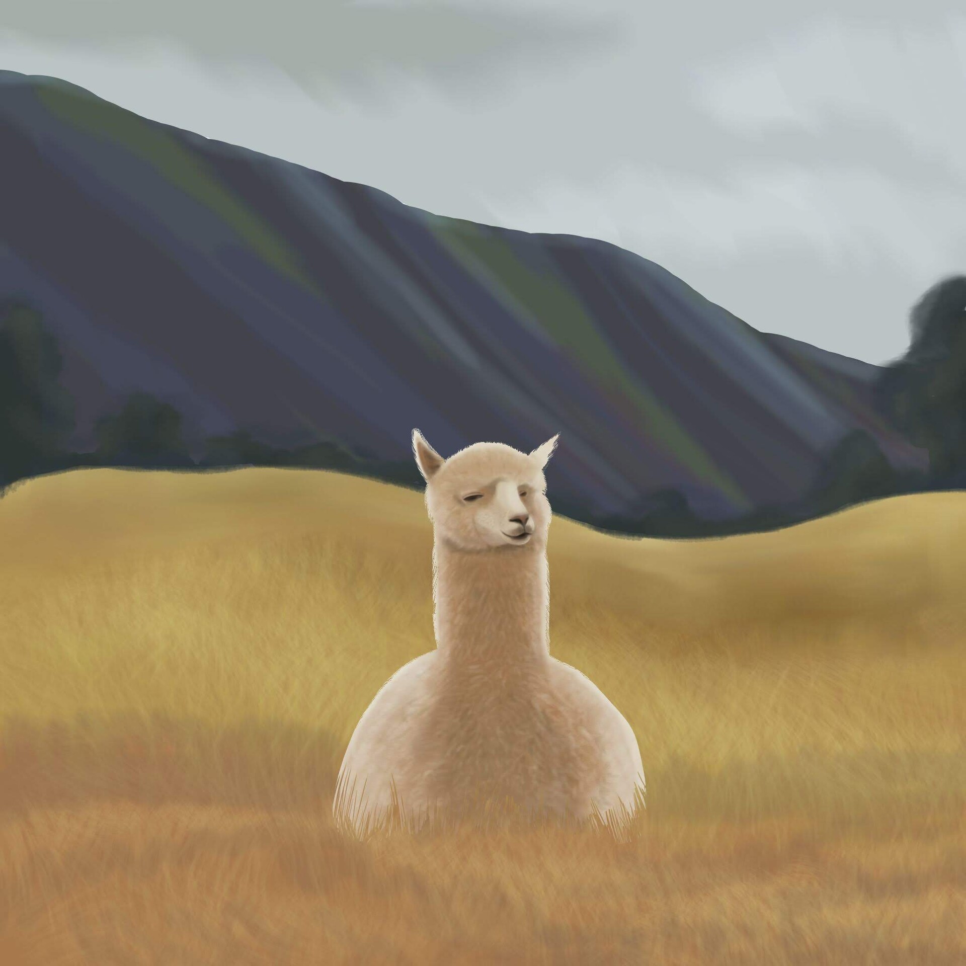 ArtStation - The cute alpaca
