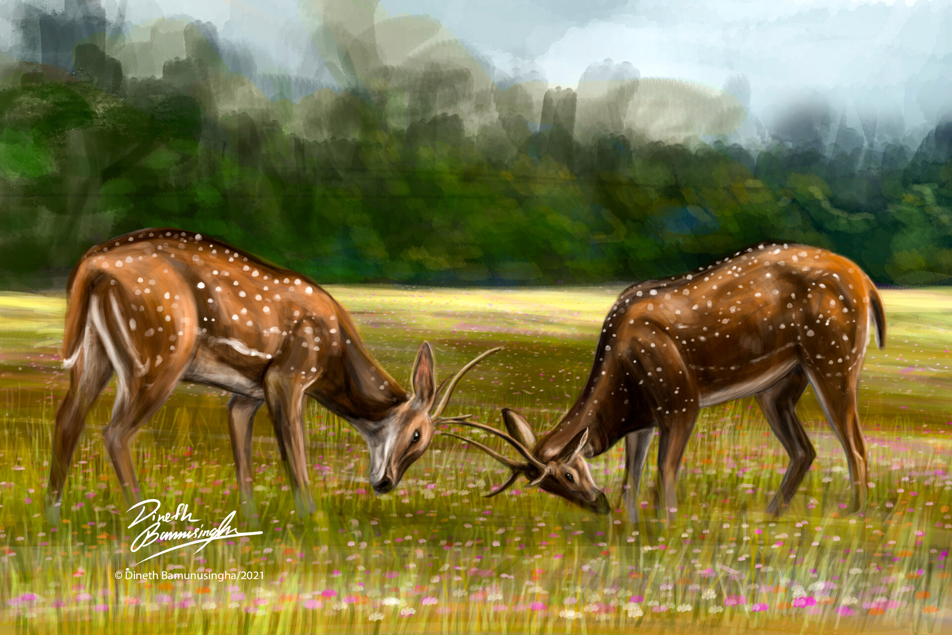 ArtStation - Two Spotted Deer (Chital) fighting on a medow