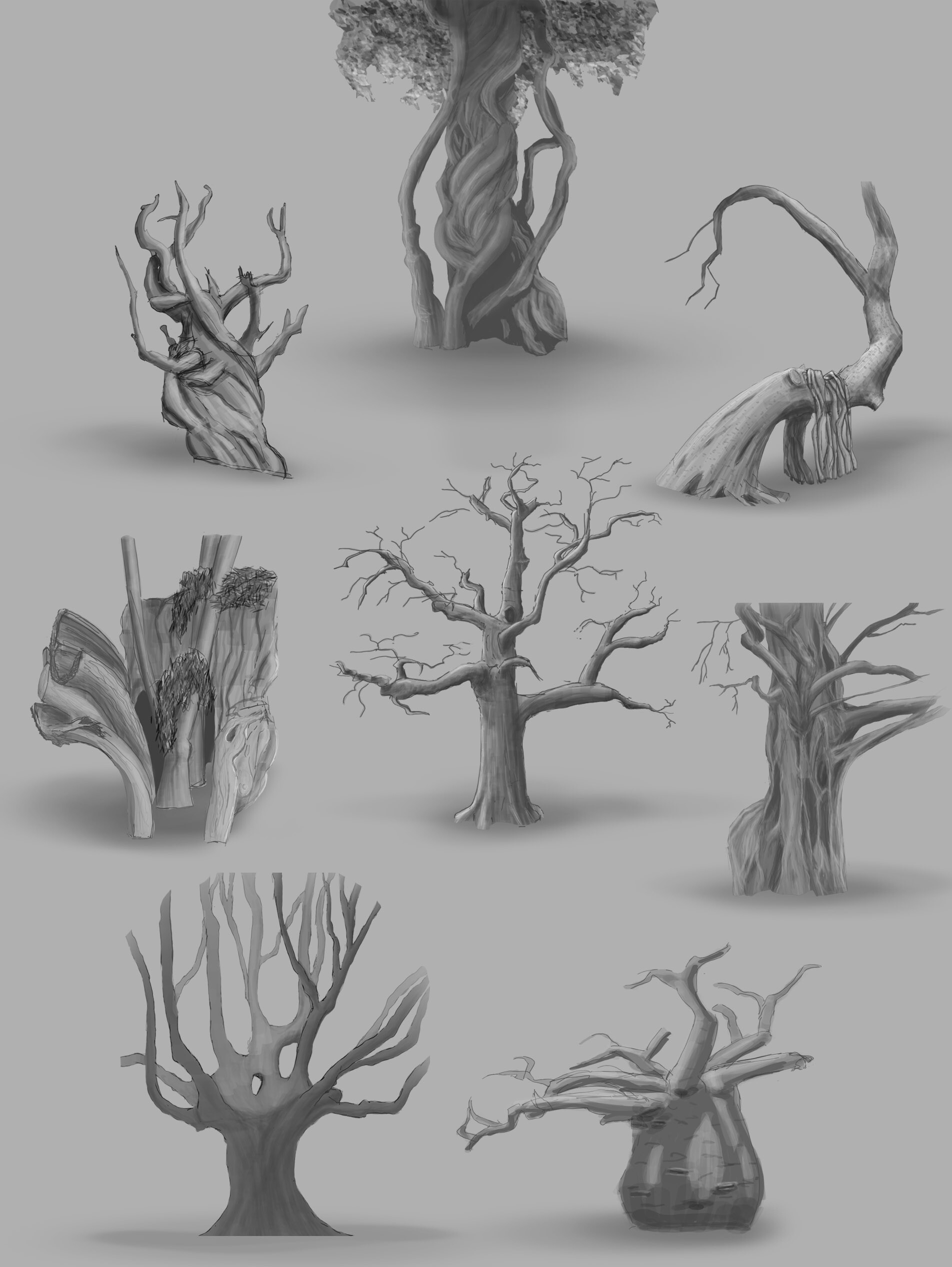 ArtStation - Tree studies