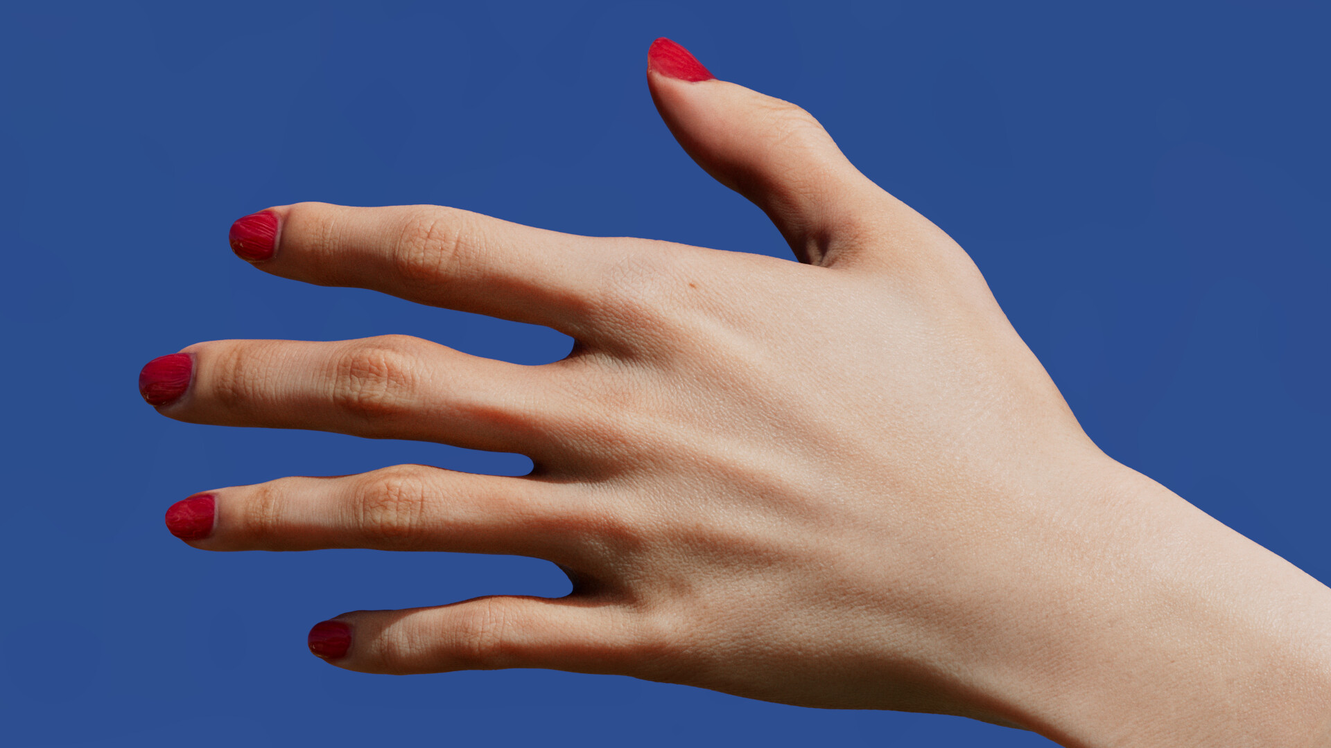 ArtStation - Beautiful, delicate female hand