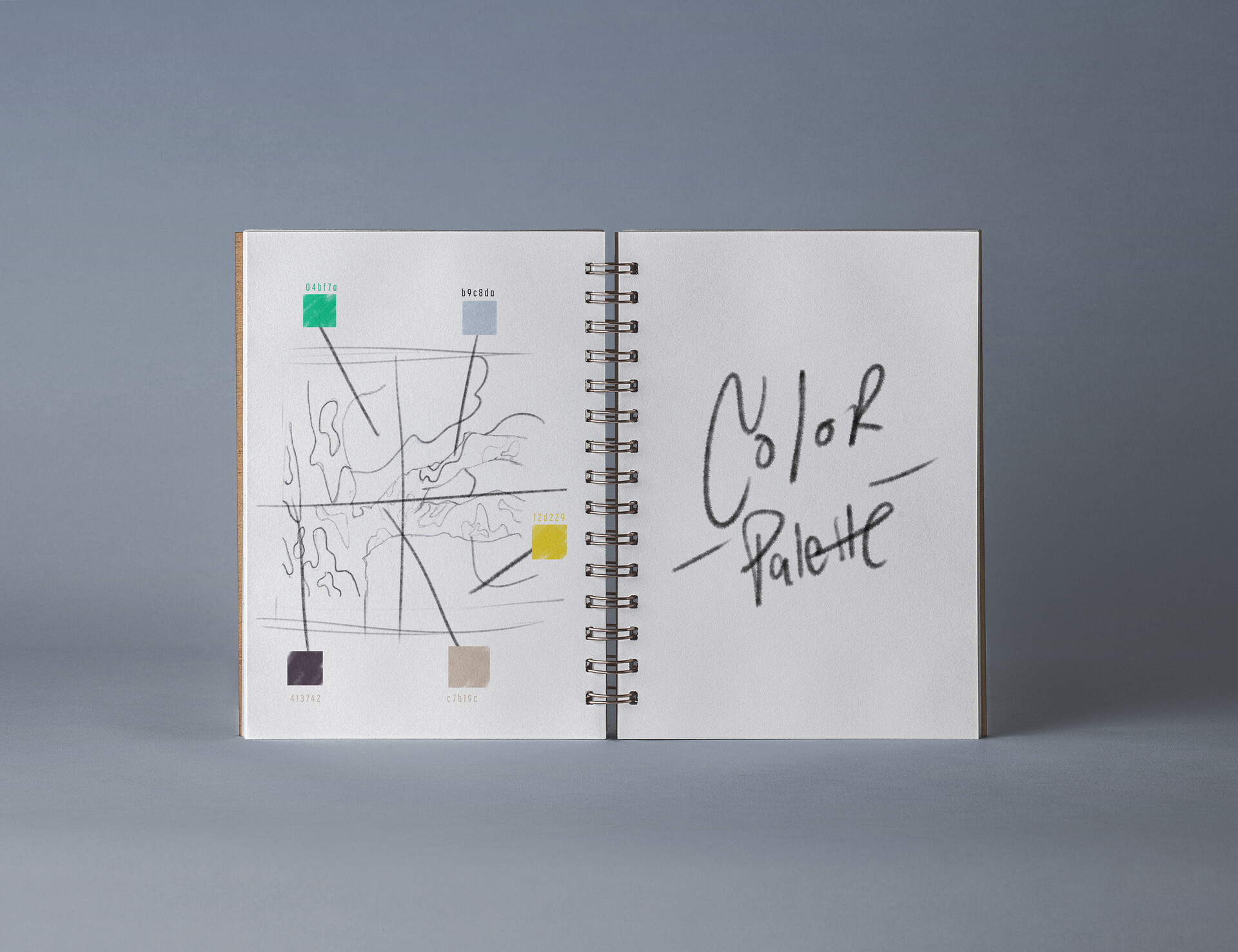 Portfolio of Chris Prado - Catalina Island Eucalyptus Tree