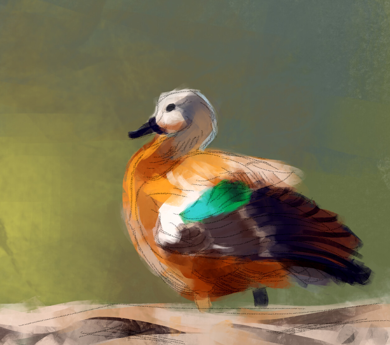 ArtStation - Ruddy shelduck, Brahminy duck