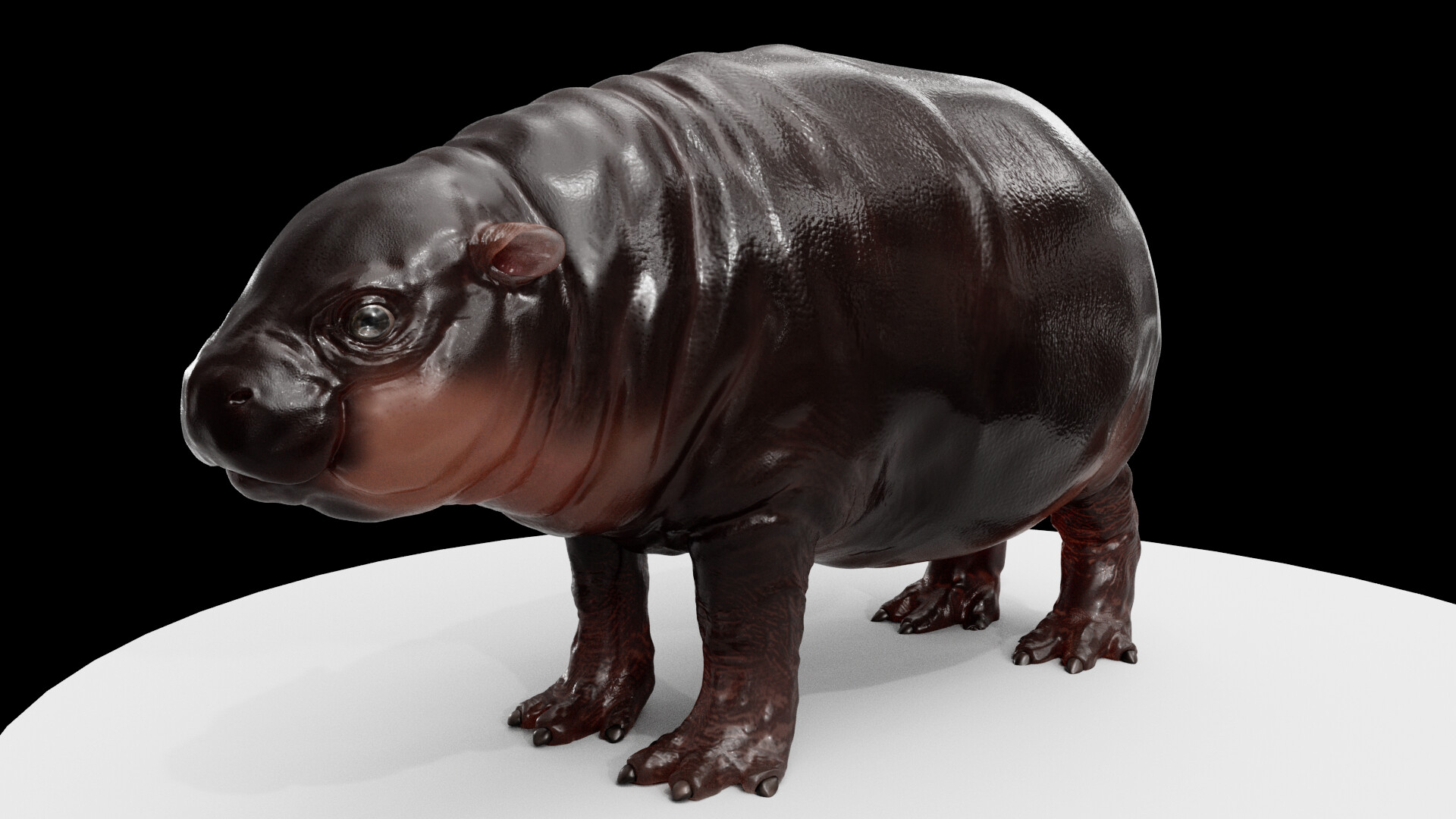 ArtStation - Choeropsis liberiensis Baby