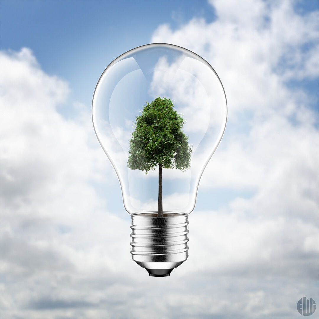 Alexandre Watanabe - 3D Eco Idea