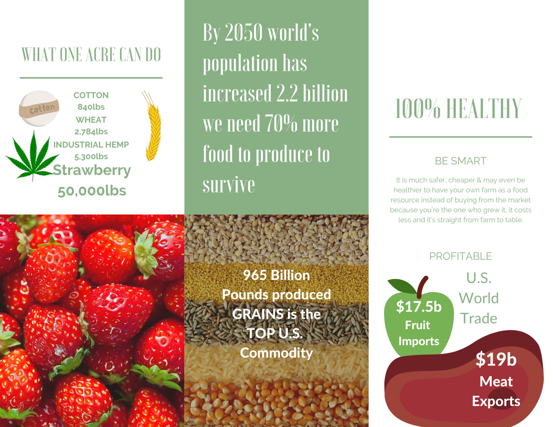 Don De Guzman - Kitchen Infographics Archive