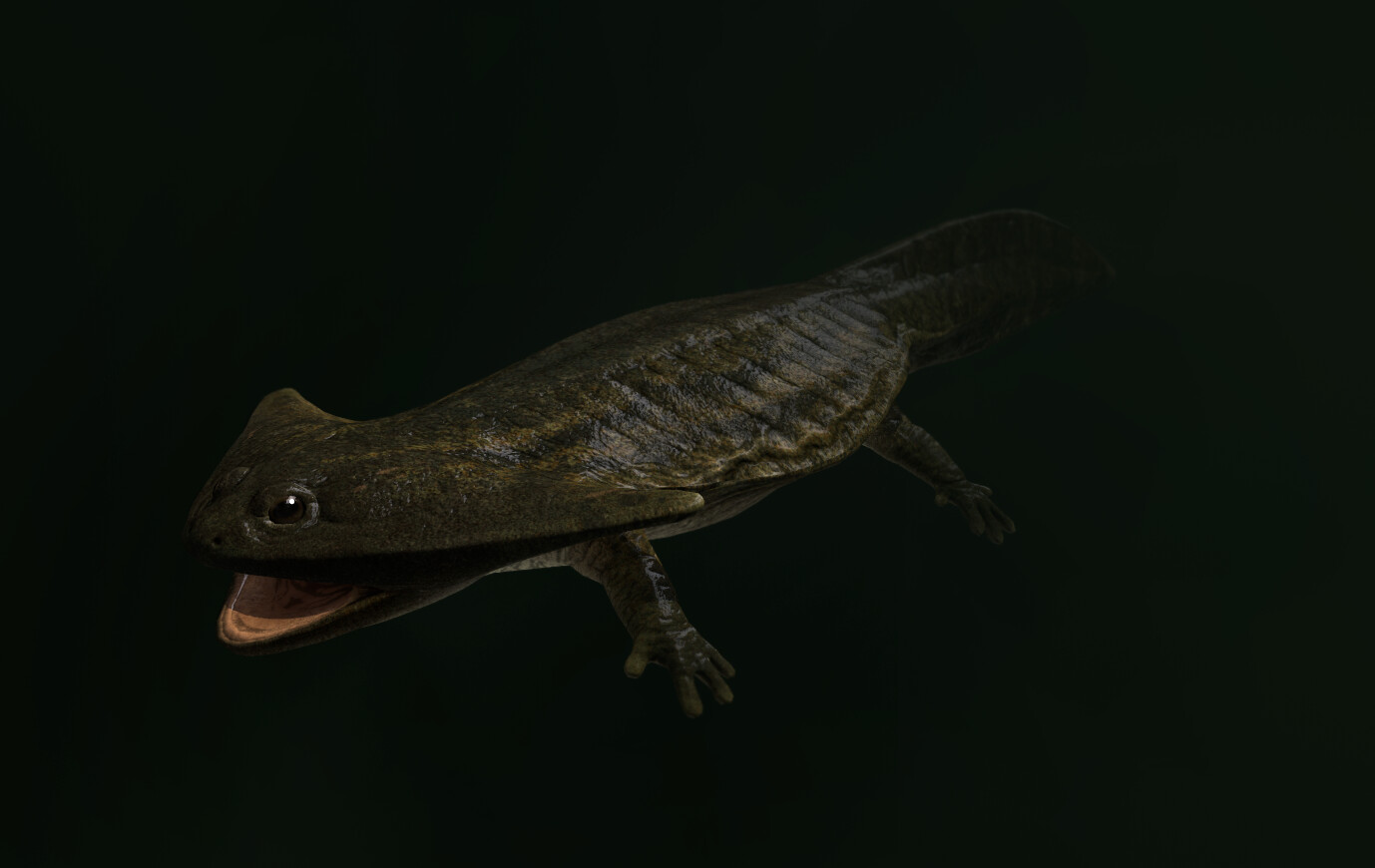 ArtStation - Diplocaulus