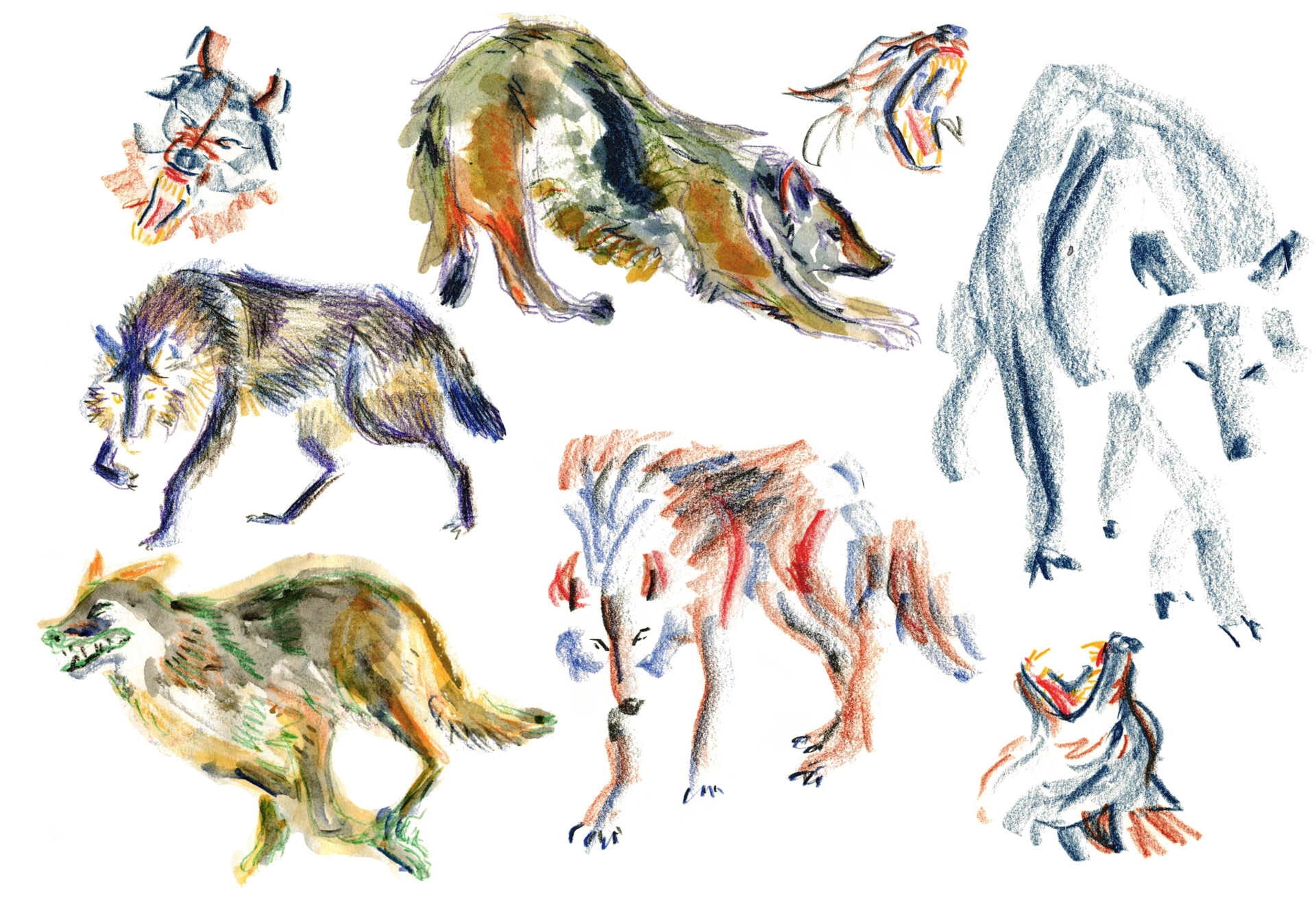 ArtStation - Wolf Studies