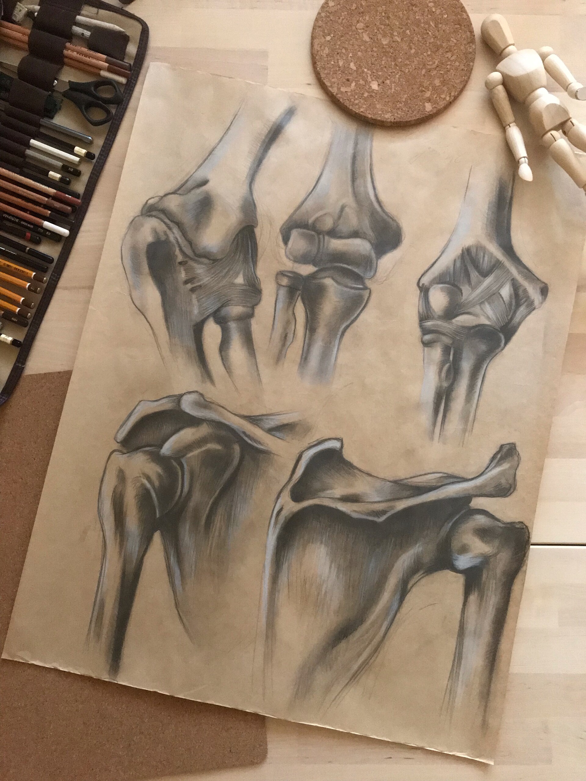 ArtStation - Anatomical Study - Joints