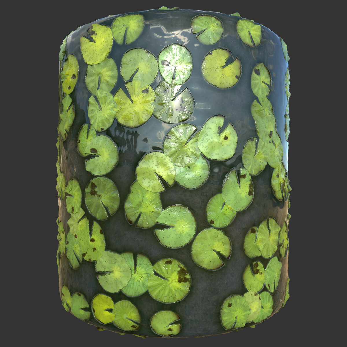 TextureCan - Water Lily Leaves Texture