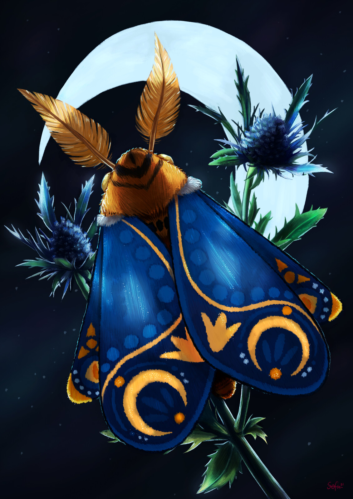 Sofia Schwerdtfeger - Night Moth