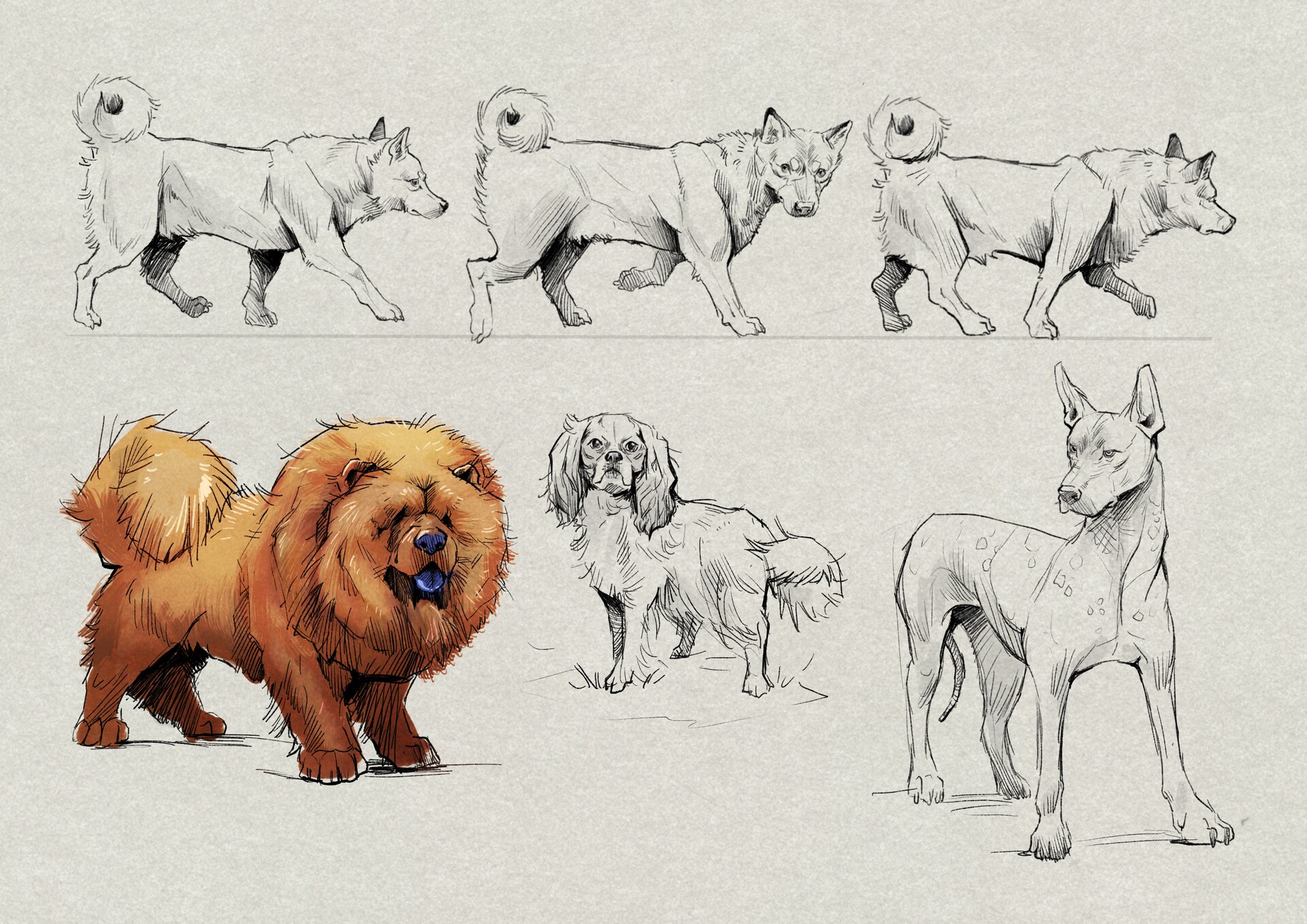 ArtStation - Dogs