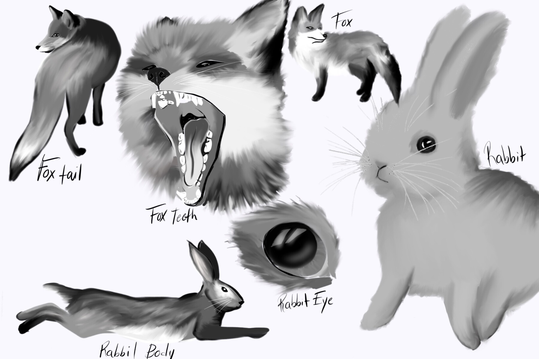 ArtStation - Fox and Rabbit