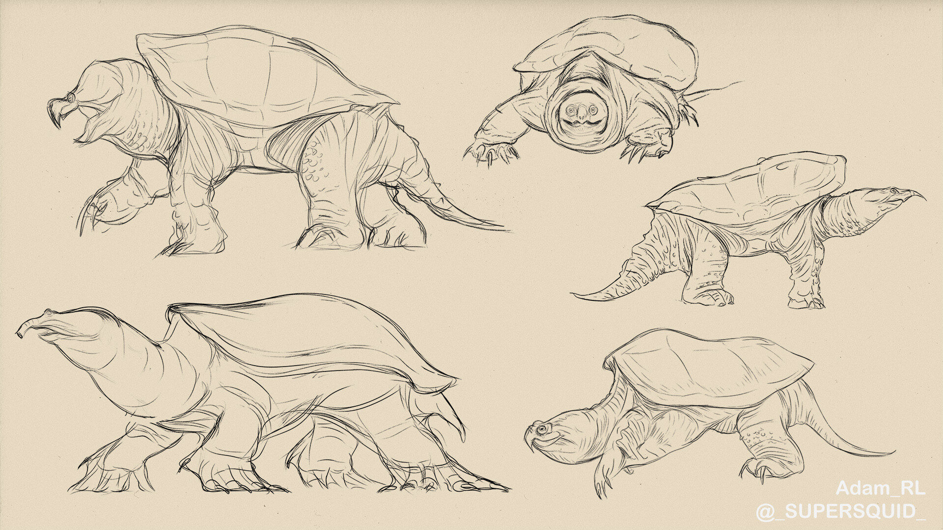 Adam _RL - Elephant Turtle (Creature Concept)