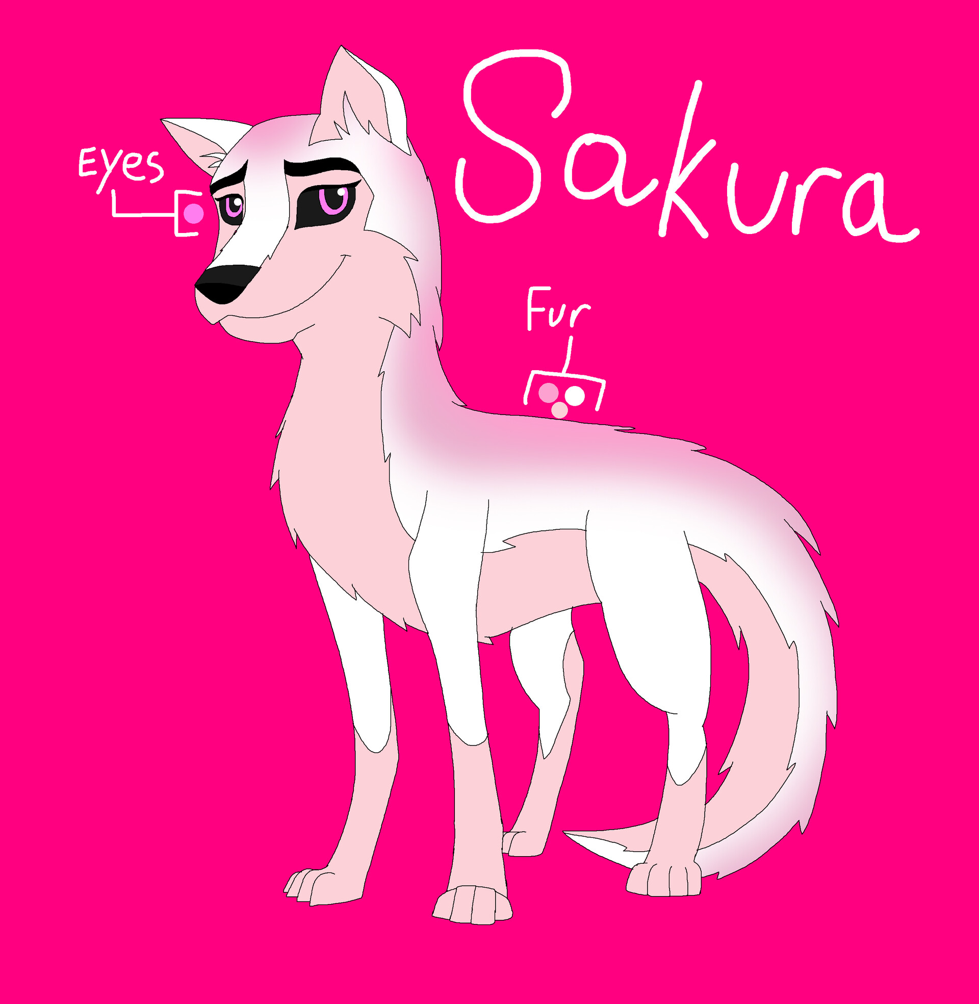ArtStation - Sakura the Wolf (OC)