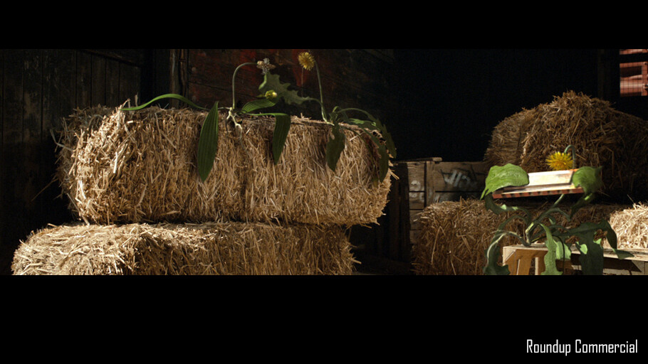 ArtStation - Roundup Commercial