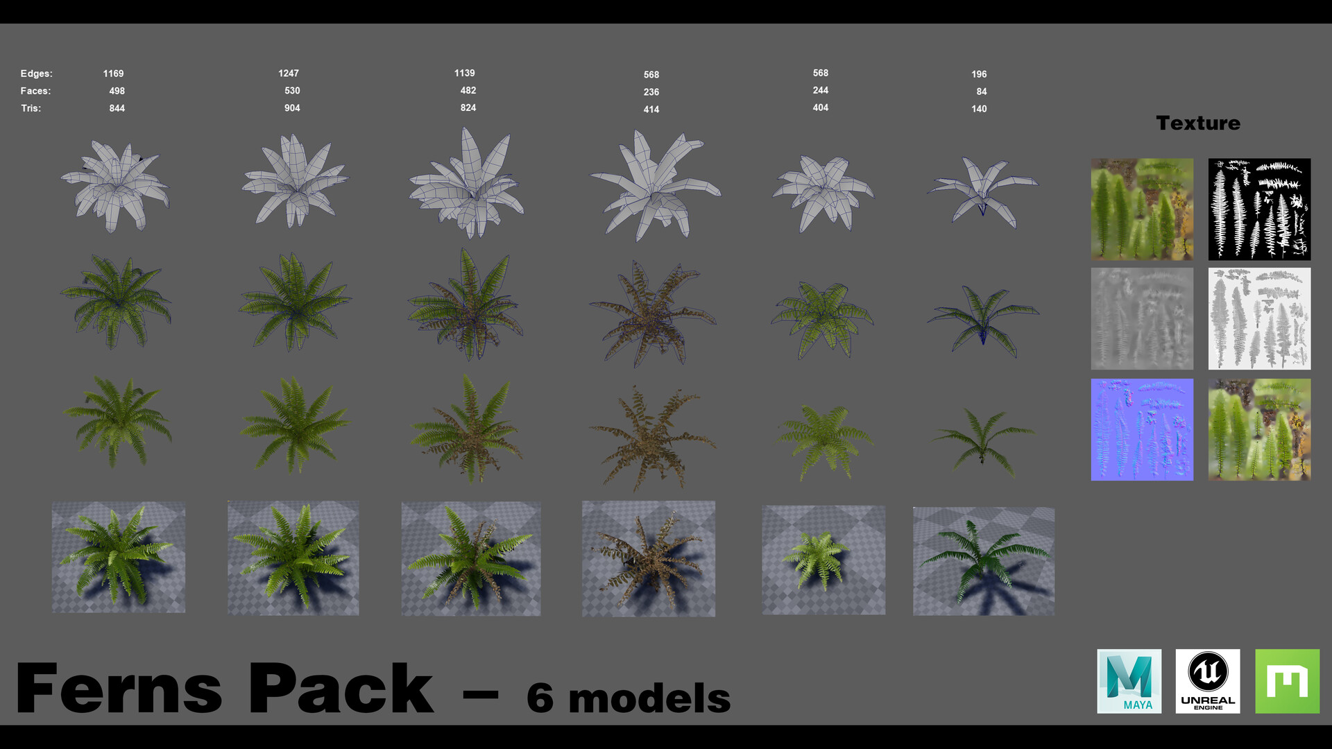 ArtStation - Ferns Pack