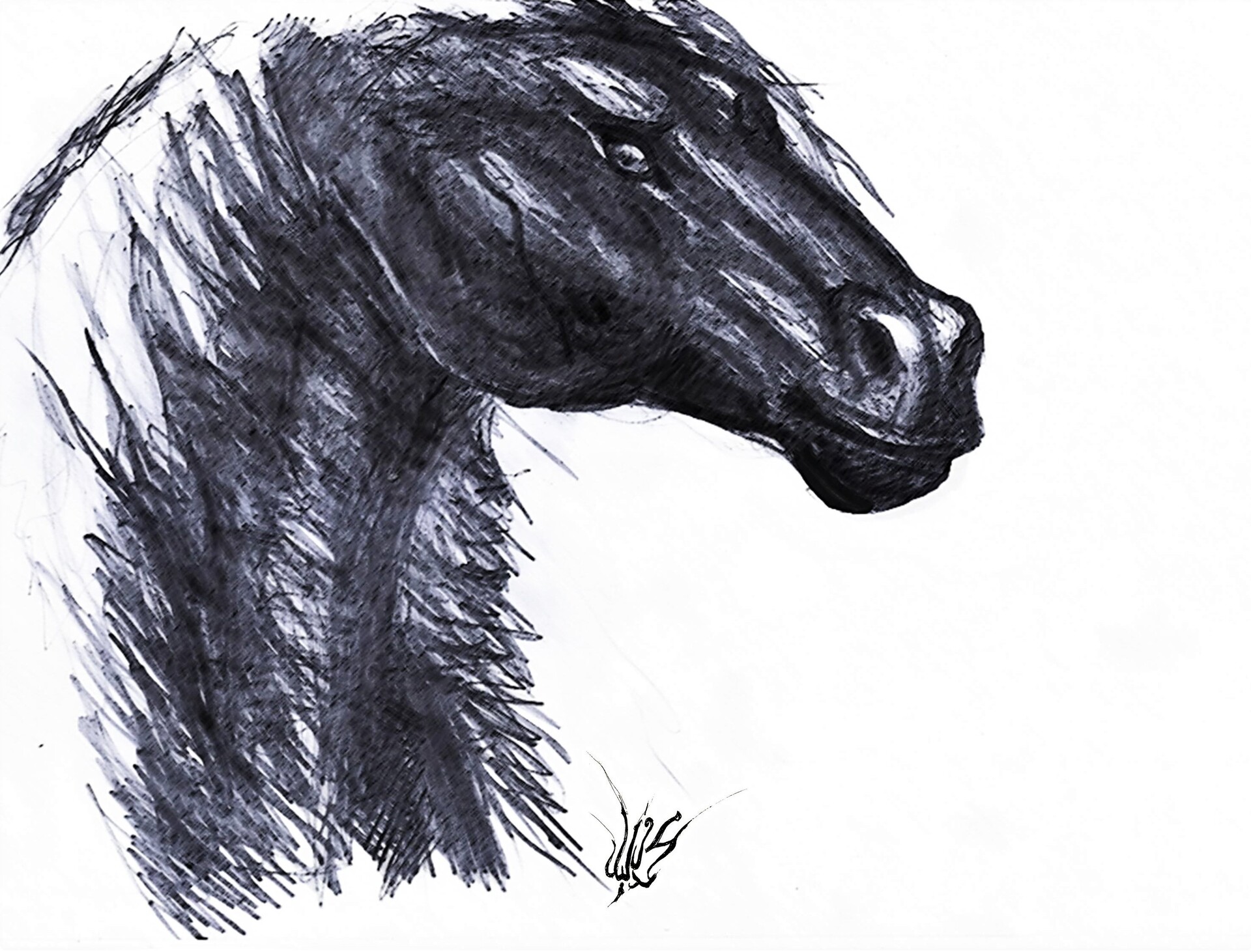 ArtStation - Wild Stallion