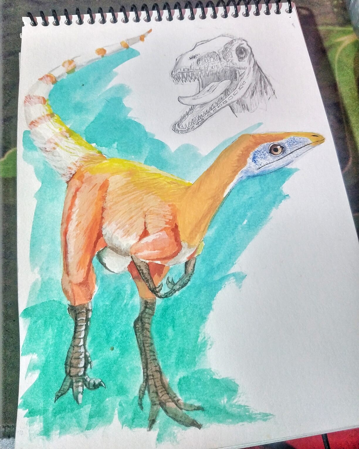 ArtStation - Dinosaur Study