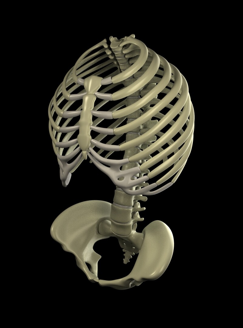 Miguel Garcia - Biped Rig