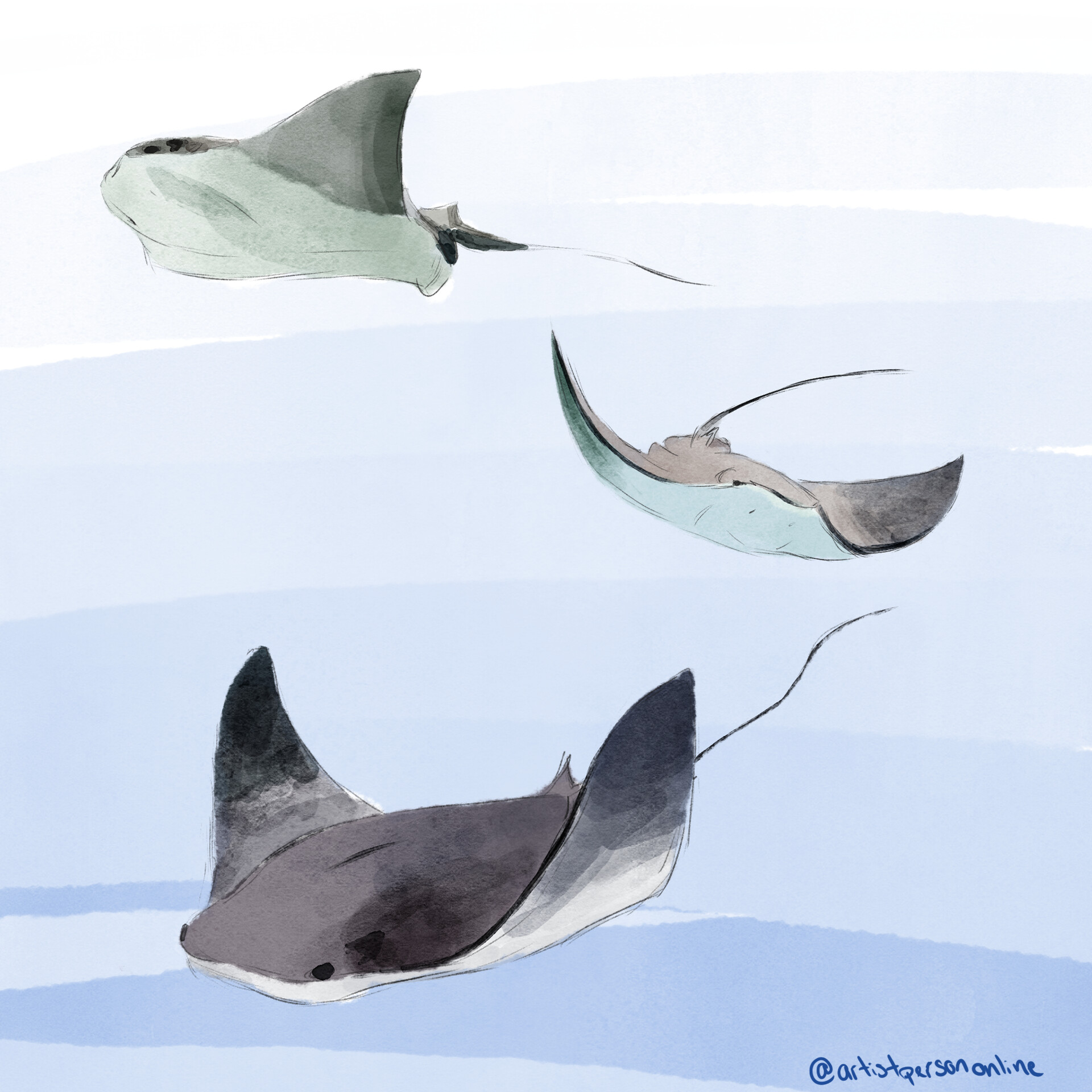 ArtStation - Stingrays