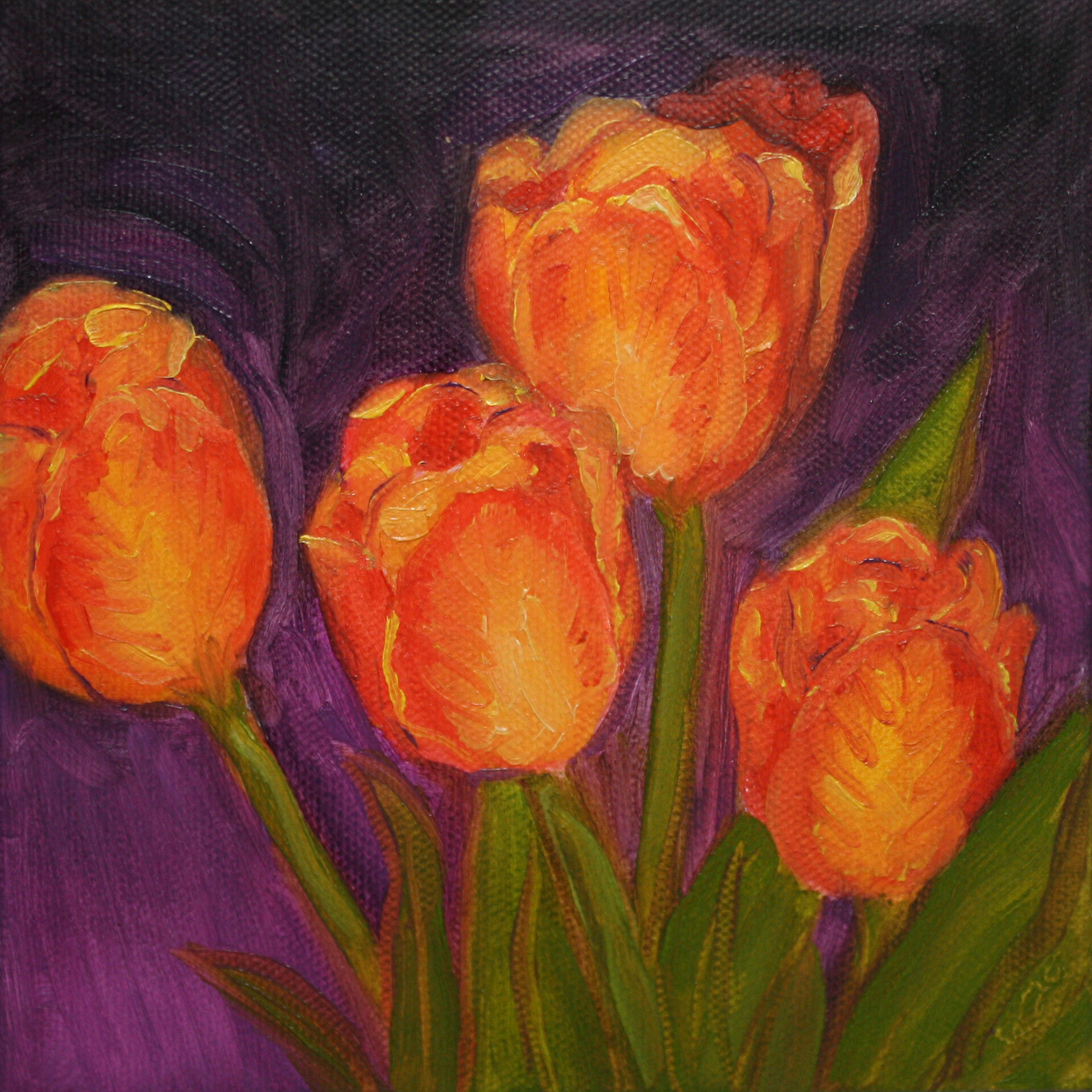 ArtStation - tulip study