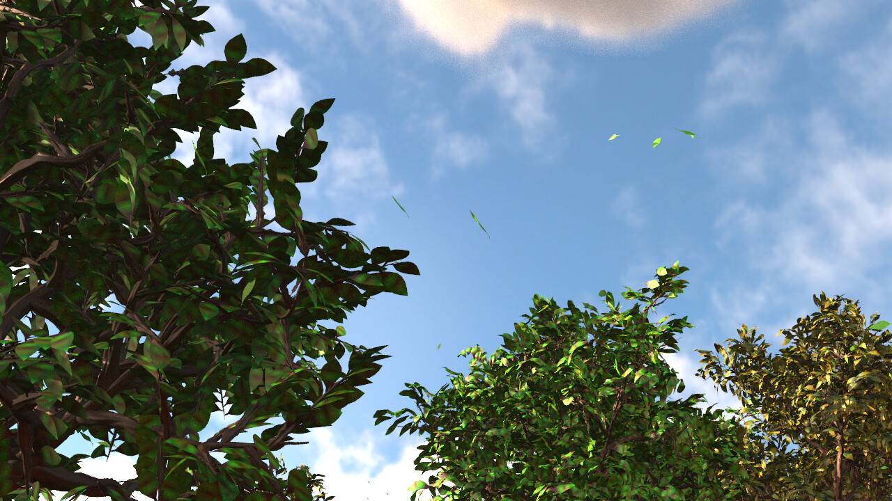 Cyrus Pekarek - Lonely Birthday